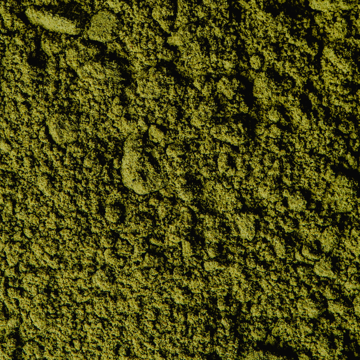 How To Use Our Microgreens Powder: The Power of Nature in a Powder ...